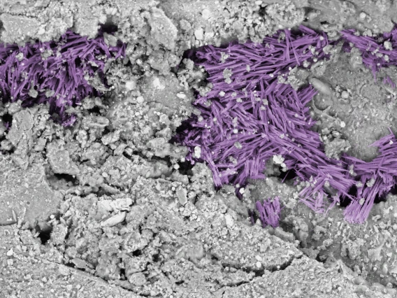 Asteroid Bennu comes from a long-lost salty world with ingredients for ...