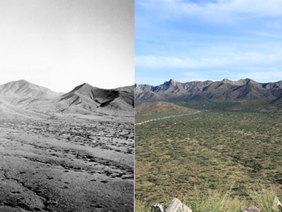 A range of discovery: 120 years on the Santa Rita Experimental Range ...